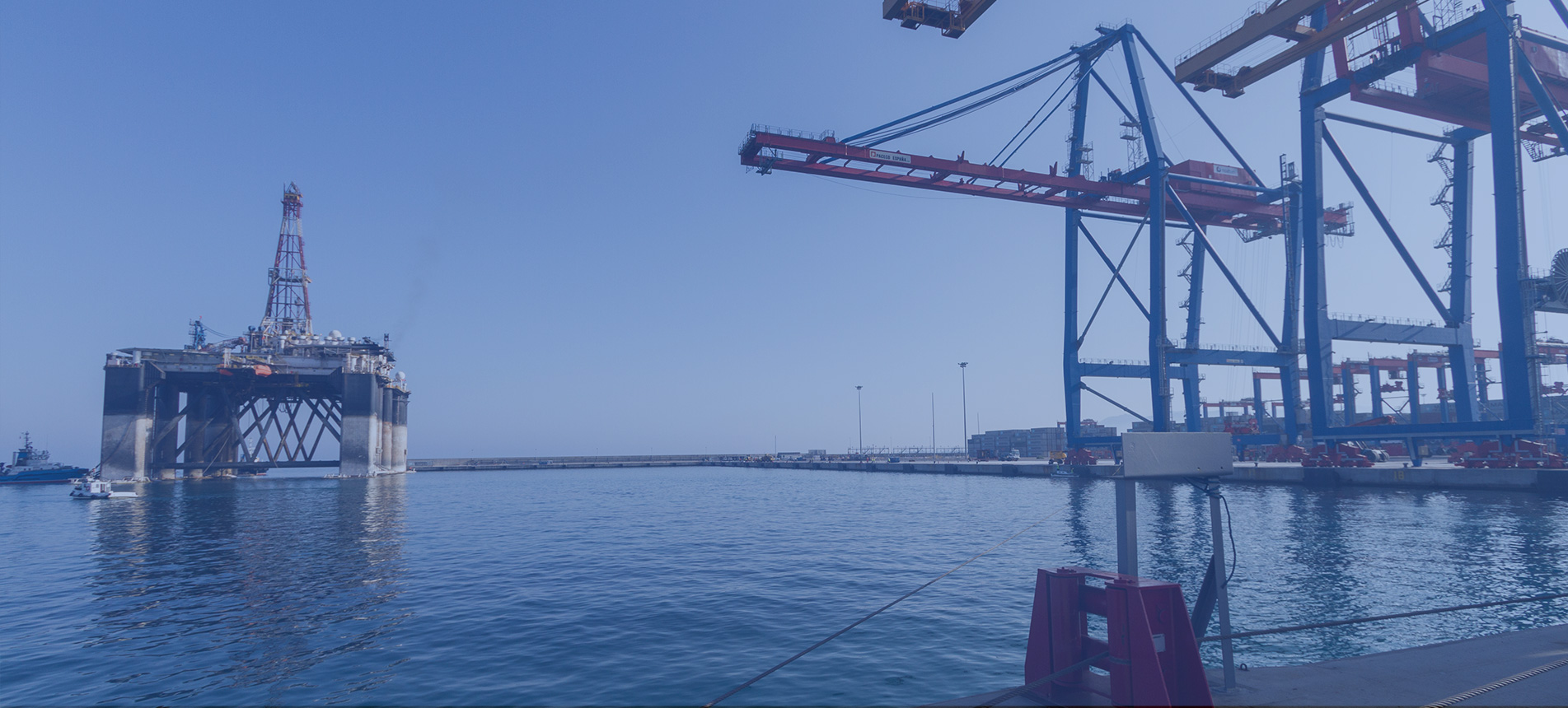 Insights from Noatum's 60th Anniversary Celebrations | Noatum Logistics