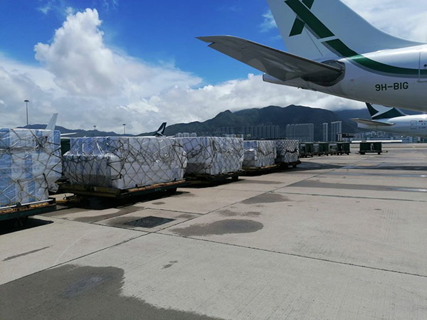 Air Freight Reefer Services | Noatum Logistics